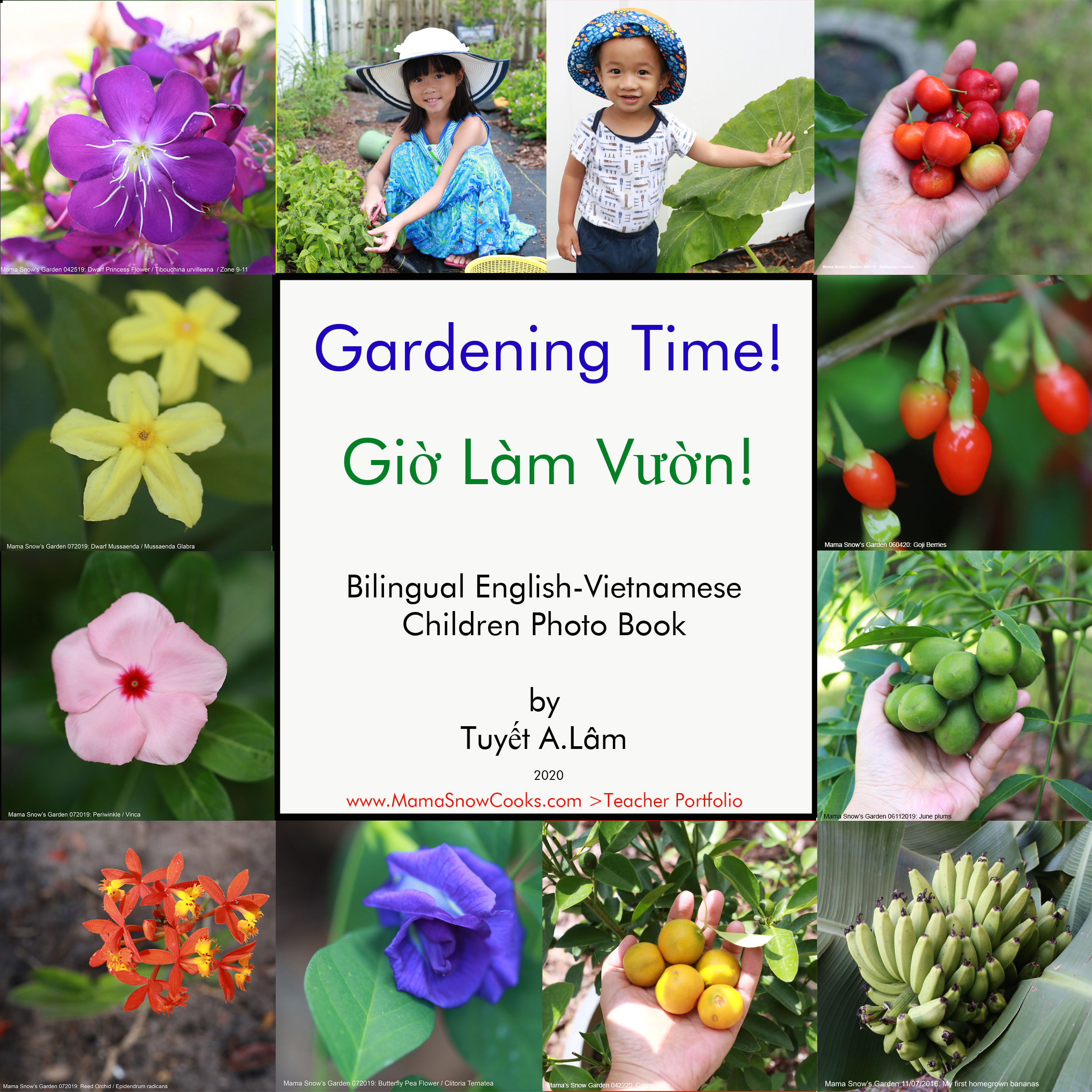 K1 Bilingual English-Vietnamese Books – Mama Snow Cooks and More
